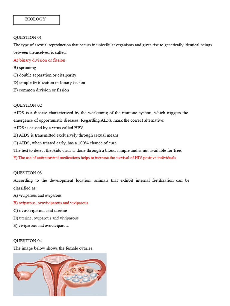 Questions about human reproduction - Prof. Adão Marcos Graciano | PDF ...