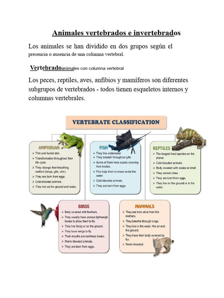Animales Vertebrados e Invertebrados | PDF