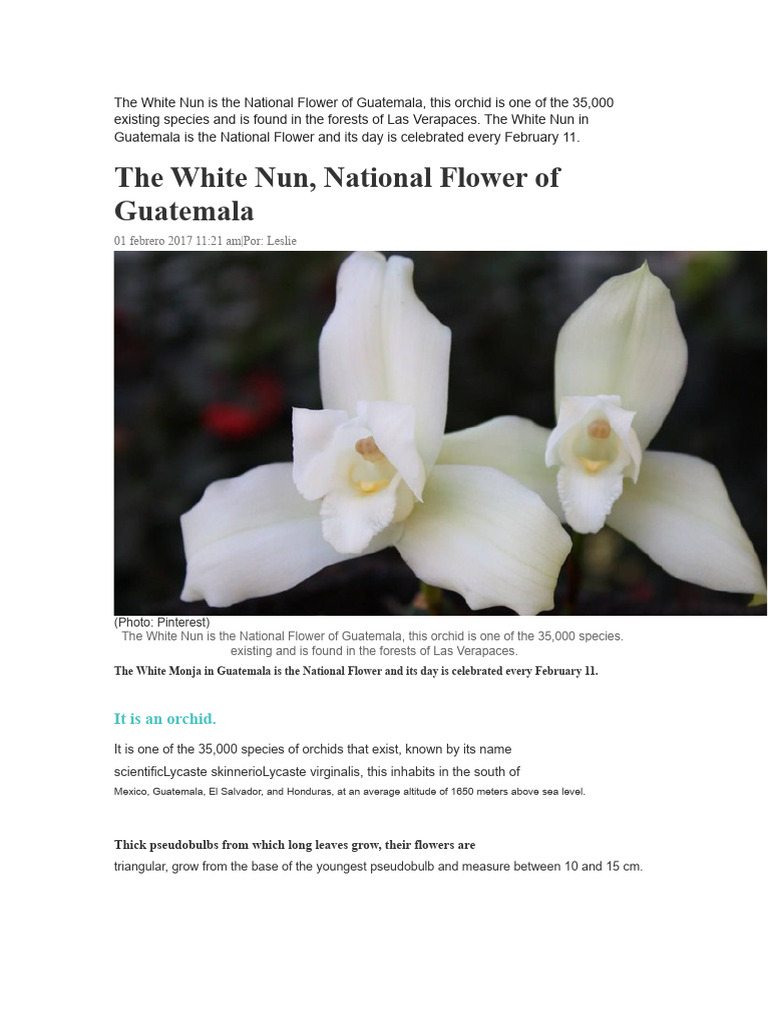 The White Nun Is The National Flower of Guatemala. | PDF | Plants ...
