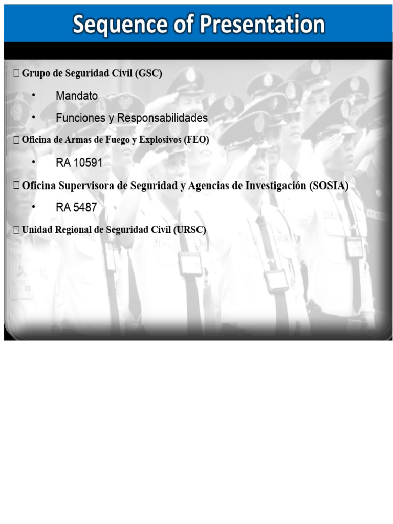 CSG Feo | PDF | Armas de fuego | Calibre