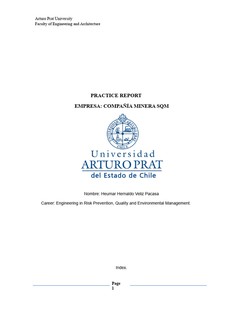 Professional Practice Report. | PDF