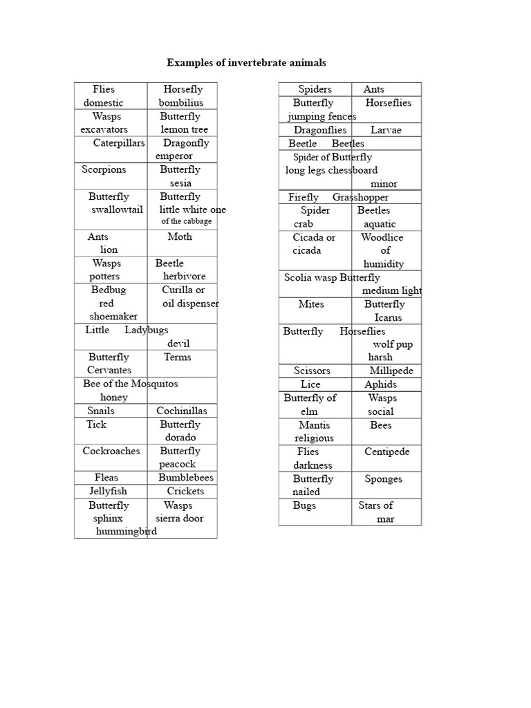 Invertebrate Animal Examples List | PDF | Butterfly | Zoology