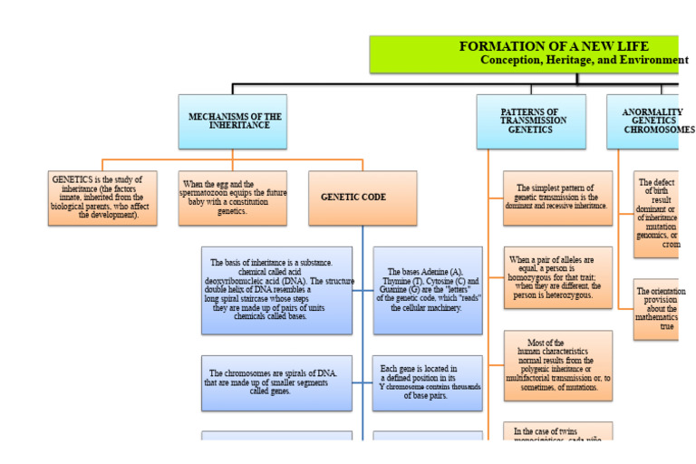 Conceptual Map of CHAPTER III Formation of a new life - conception ...
