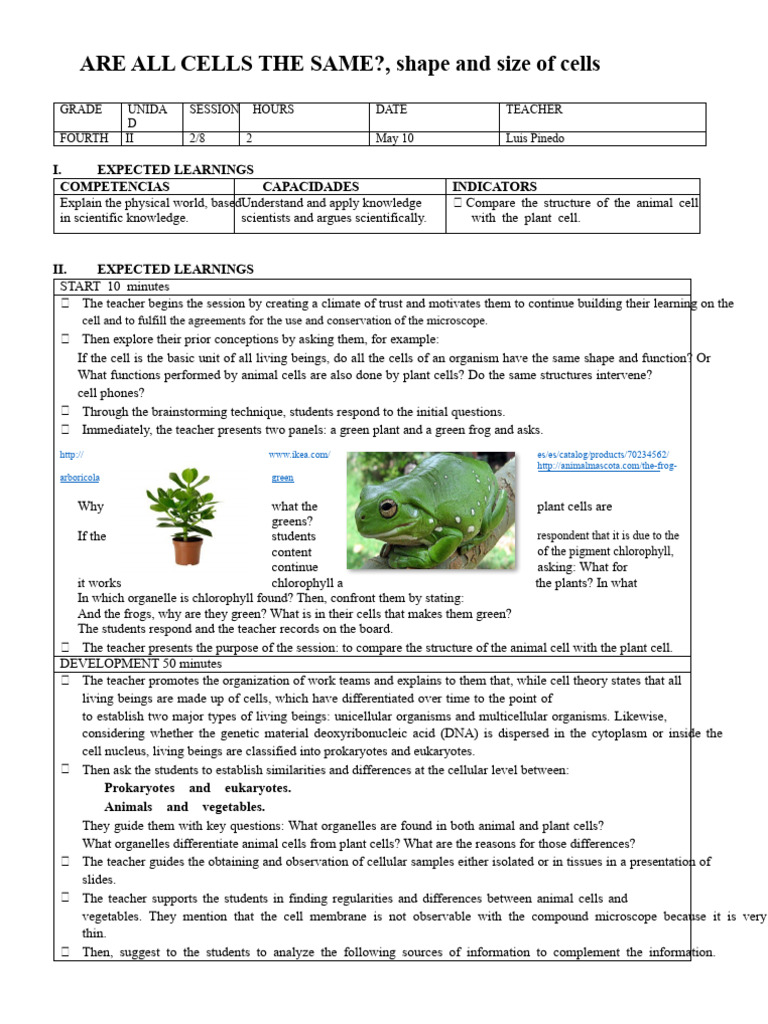 Comparing Animal and Plant Cells | PDF | Cell (Biology) | Life Sciences