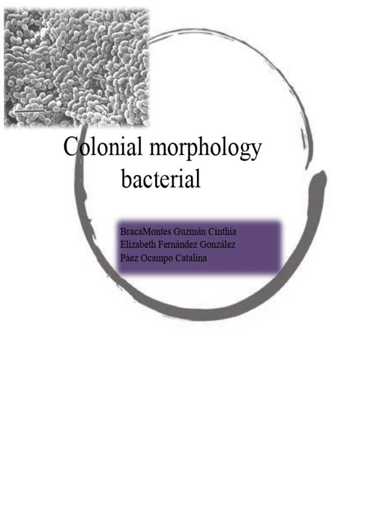 Bacterial colonial morphology FINAL_Eq_5 | PDF | Bacteria | Microorganism