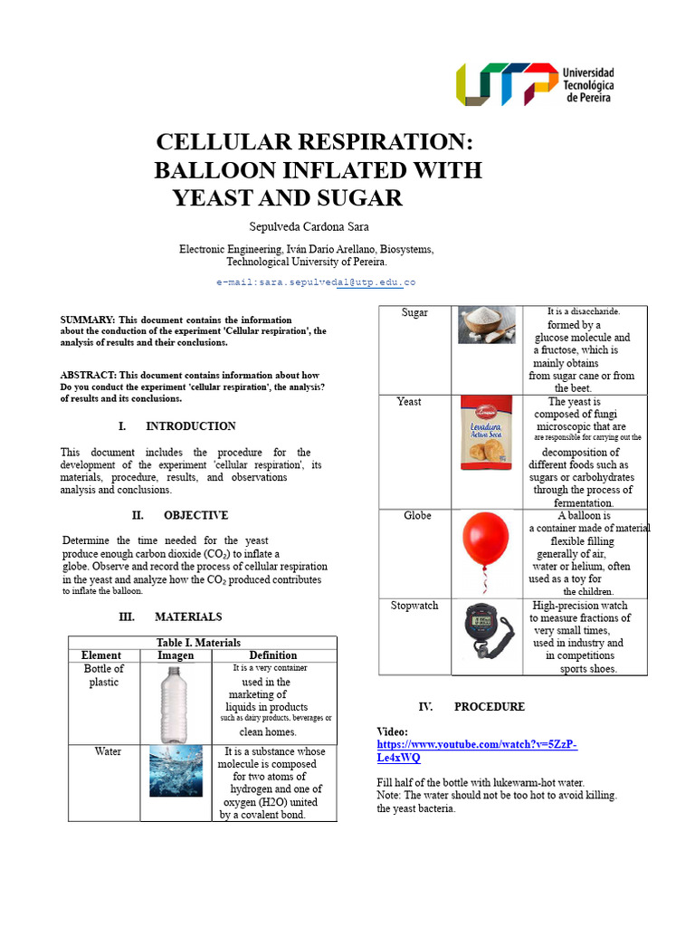 Cellular Respiration Experiment | PDF | Carbon Dioxide | Cellular ...