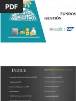 Manual SAP HCM: Guía de Usuario y Soporte | PDF | Bancos