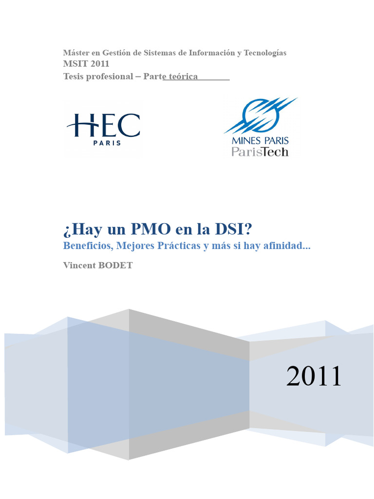 Excelente - Formación PMO | PDF | Gestión de proyectos | Portafolio ...