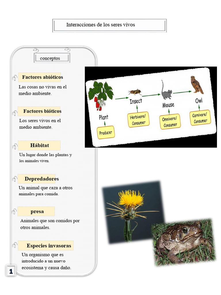Interacciones de Los Seres Vivos | PDF | Habitat | Depredación