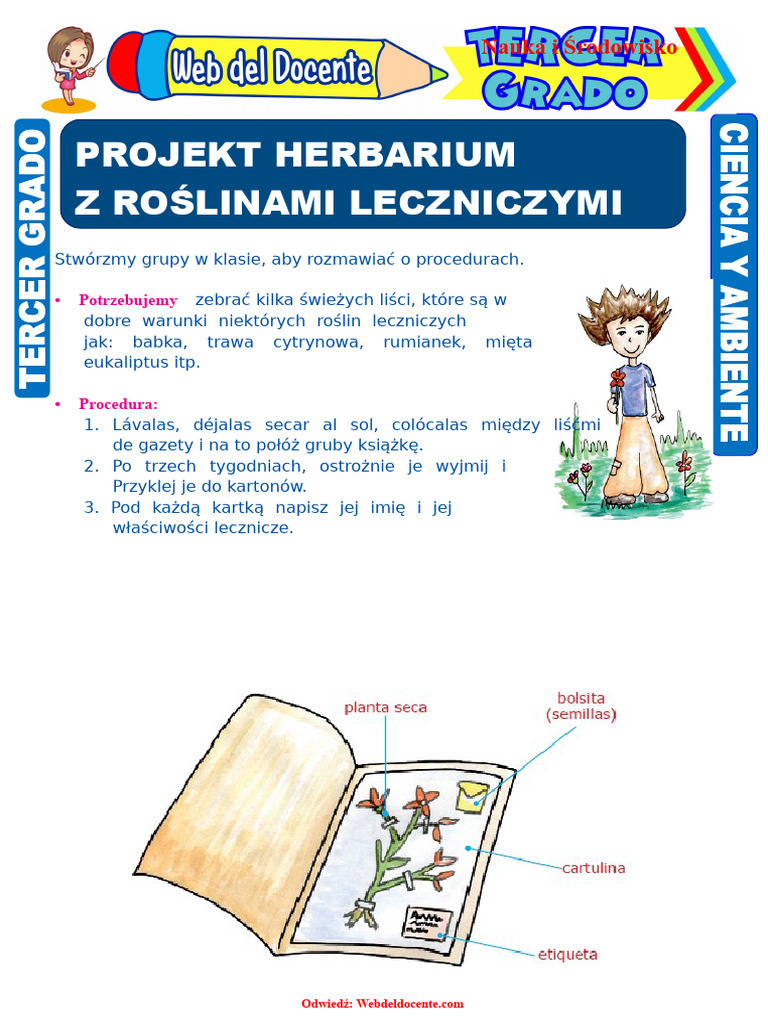 Projekt herbariów z roślinami leczniczymi dla dzieci w trzeciej klasie szkoły podstawowej | PDF