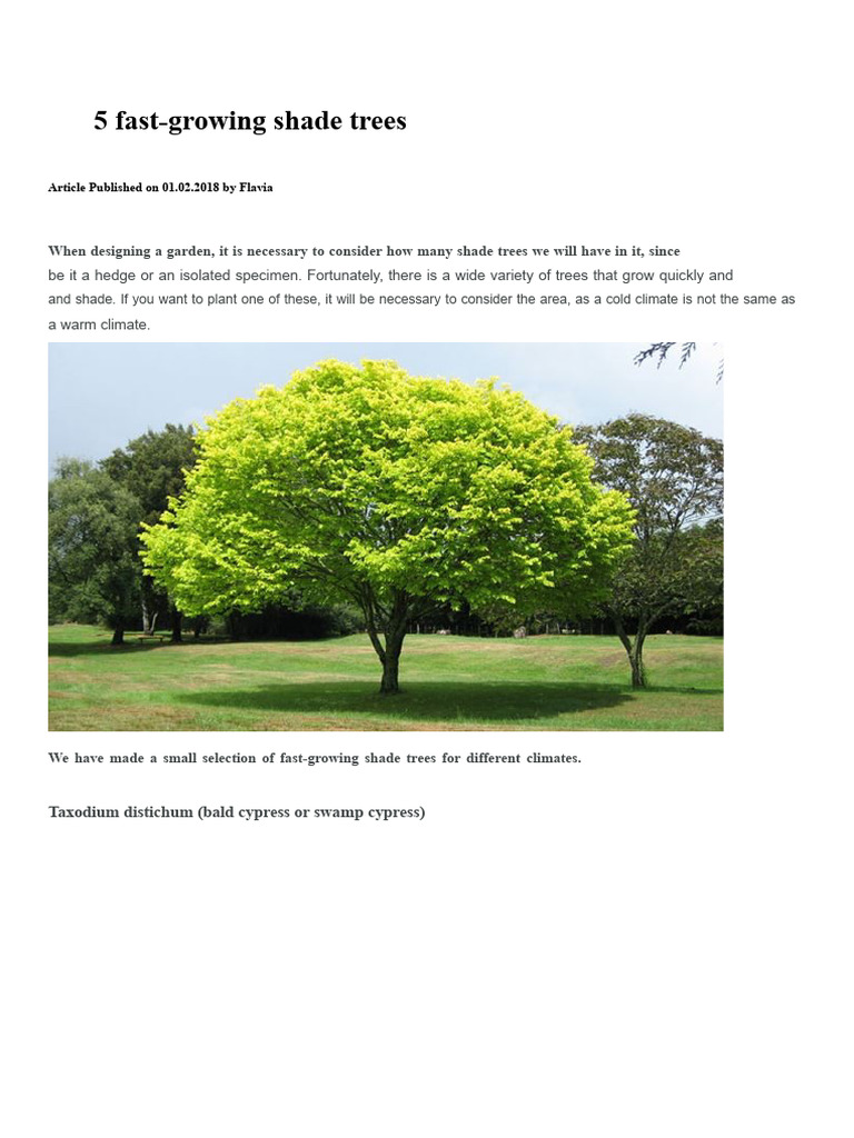 5 Fast-Growing Shade Trees Guide | PDF | Trees | Horticulture