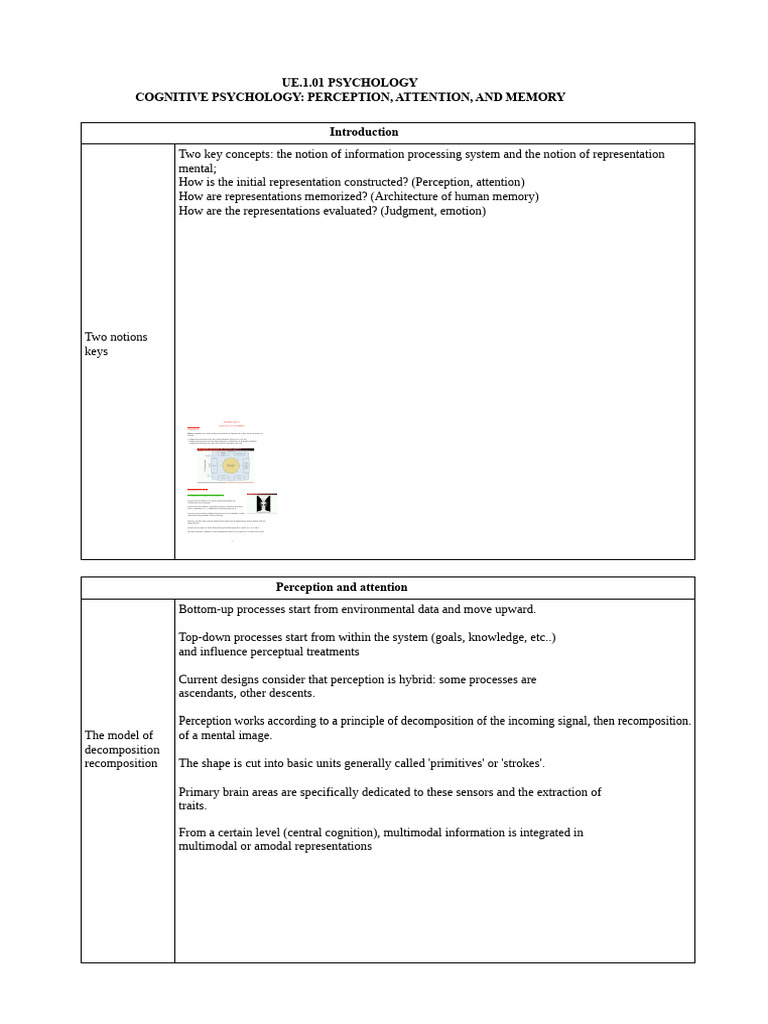 Cognitive Psychology: Perception & Memory | PDF | Attention | Cognition