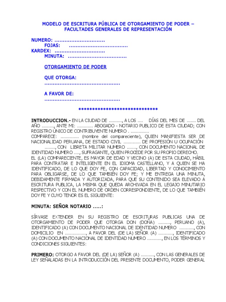 Modelo de Otorgamiento de Poder | PDF | Información del gobierno | Instituciones sociales