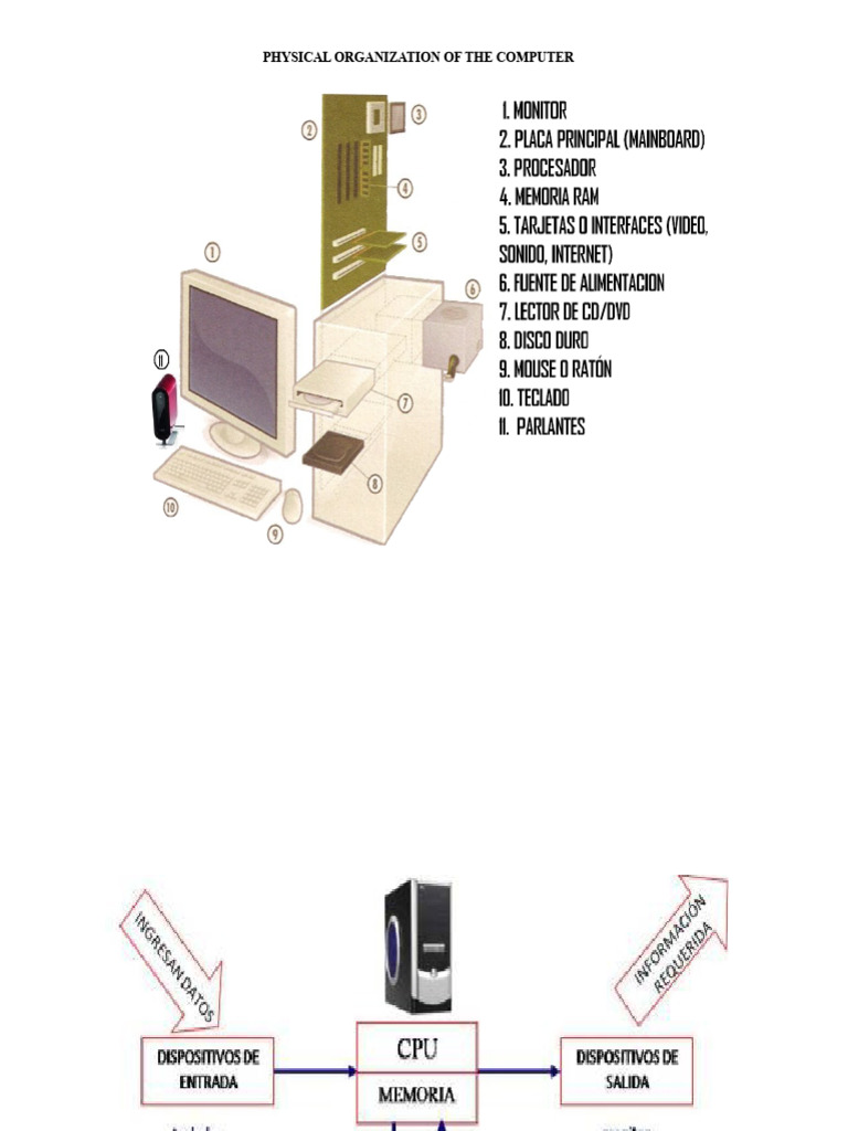Physical Organization of the Computer | PDF | Central Processing Unit | Computing