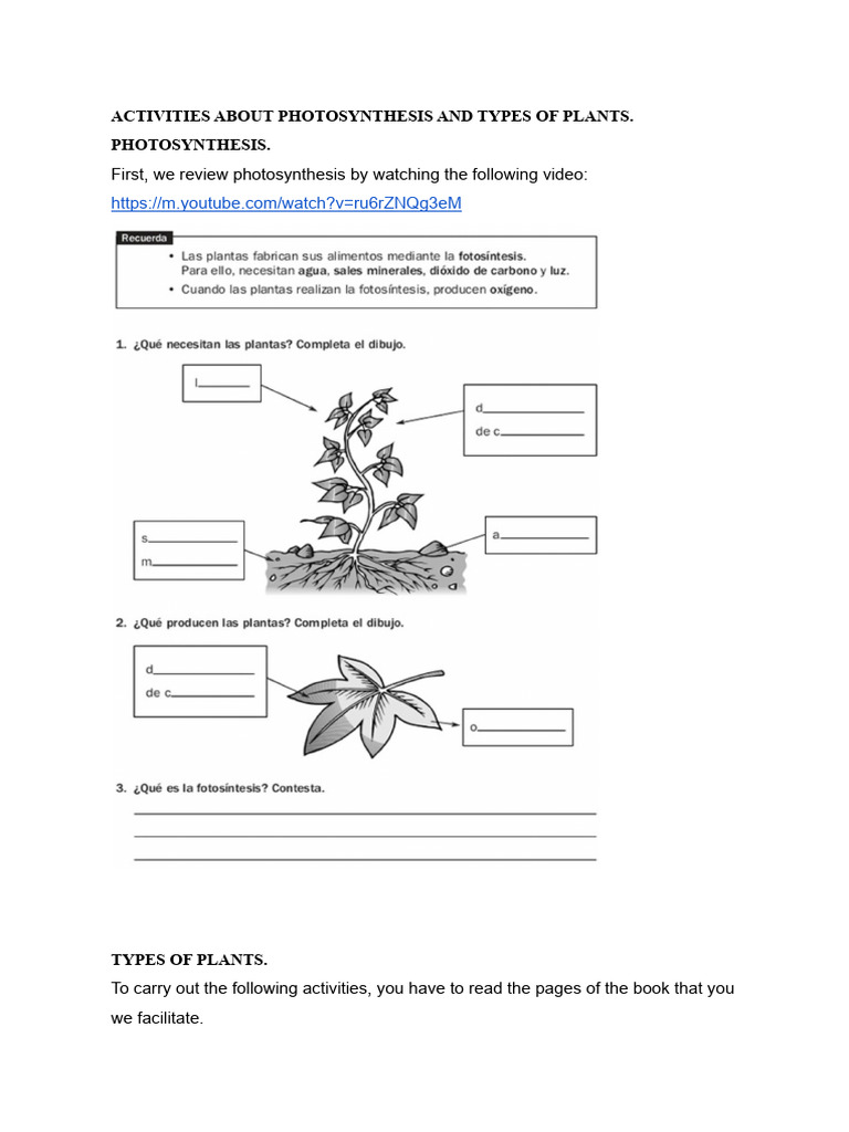 Photosynthesis activities | PDF