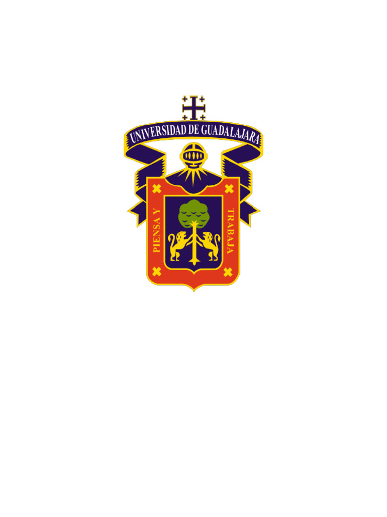 Práctica 2_Física II (1) | PDF | Oscilación | Fricción