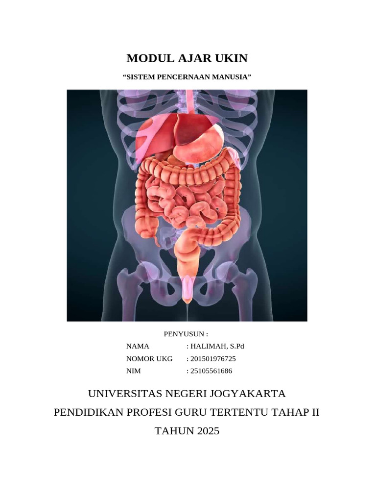 Modul PM Organ Pencernaan Dan Fungsinya | PDF