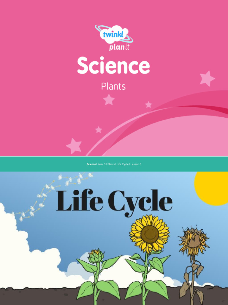 Plant Life Cycle Powerpoint | PDF