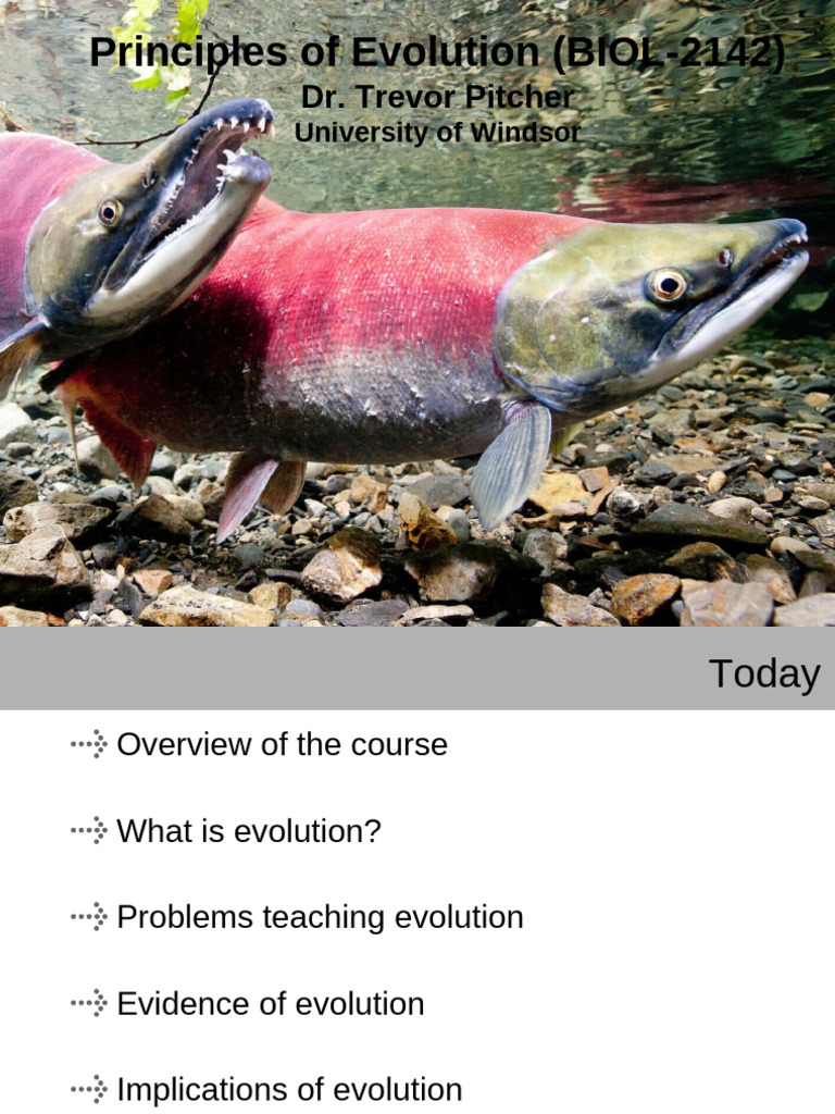 Principles of Evolution Overview | PDF | Natural Selection | Evolution