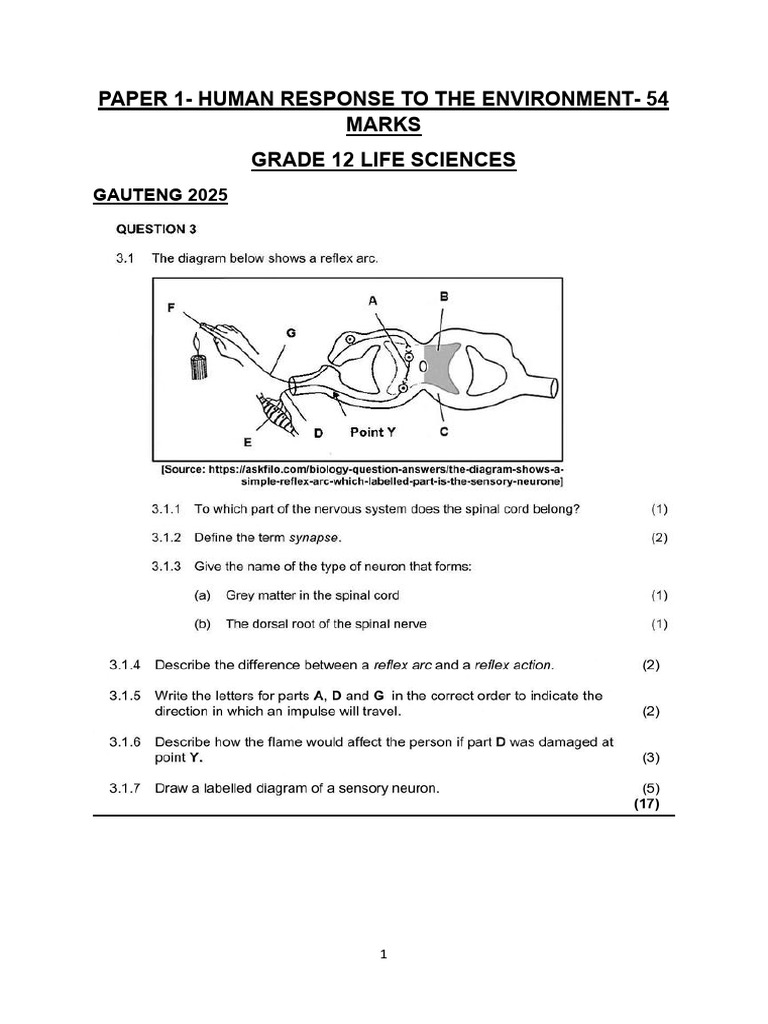 Final Exam Intervention Human Response | PDF | Facial Features | Visual ...