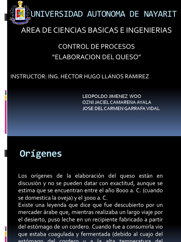 Proceso de Elaboracion Del Queso | PDF | Queso | Leche