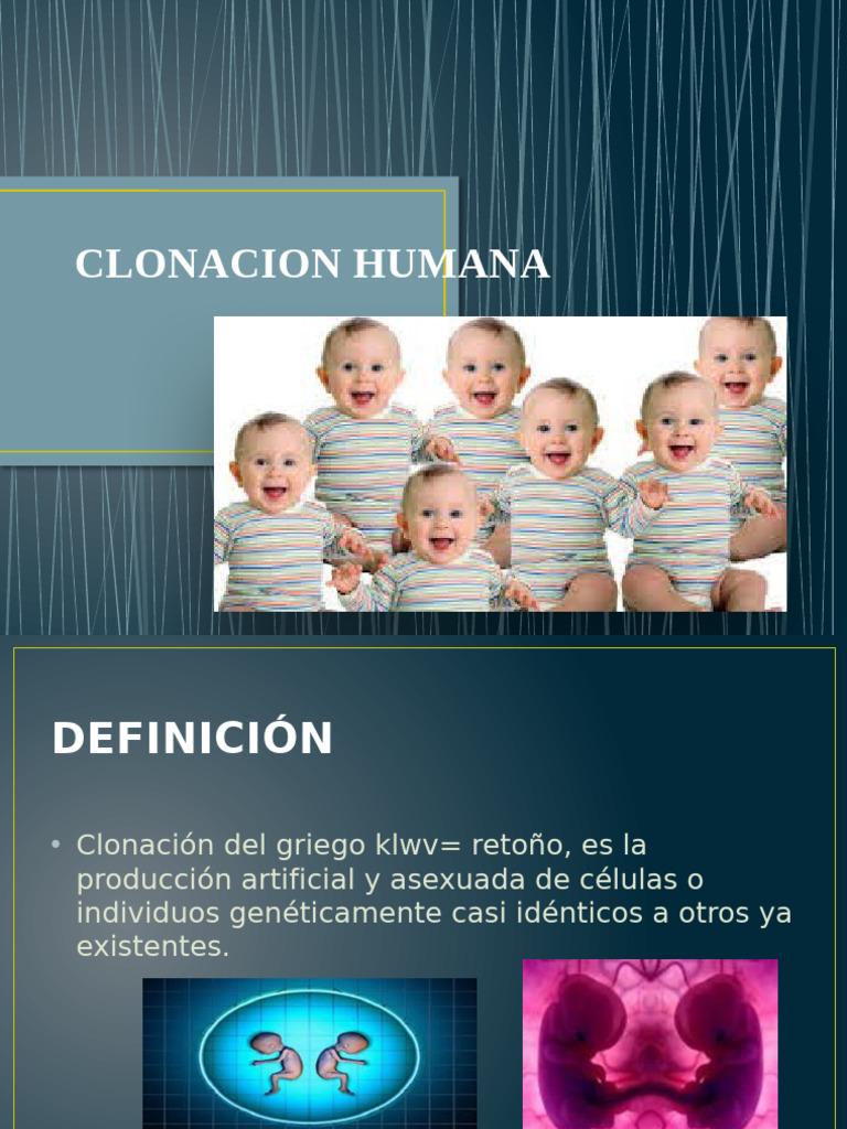 Clonación Humana: Tipos y Ética | PDF | Clonación | Célula madre