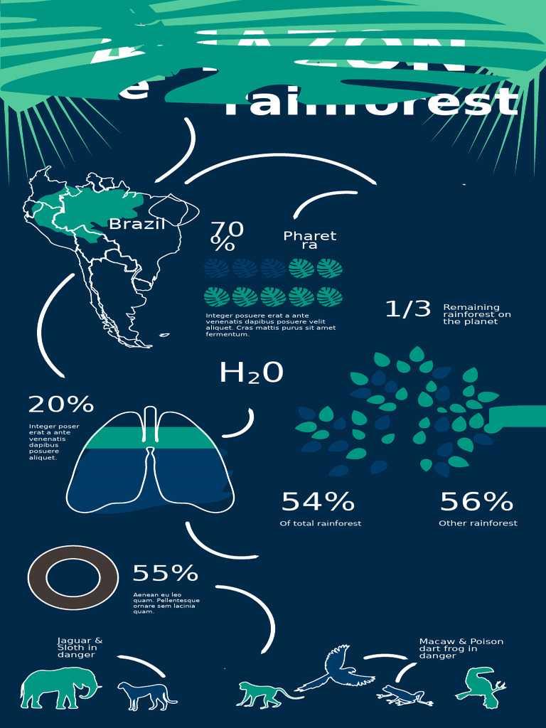 Amazon Rainforest | PDF