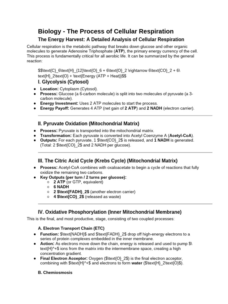 Chemistry - VSEPR Theory Notes | PDF | Cellular Respiration | Adenosine ...
