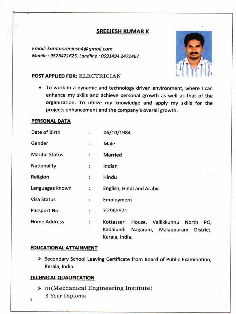 CV 123 | PDF
