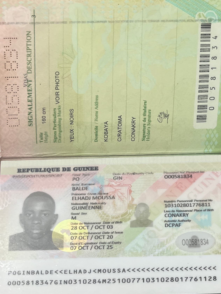 Guinea Passport Information Document | PDF