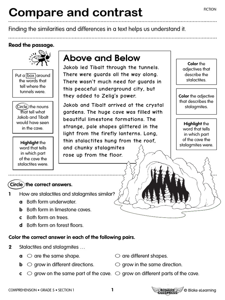 Grade 5 - Fiction-5-10 | PDF | Cave