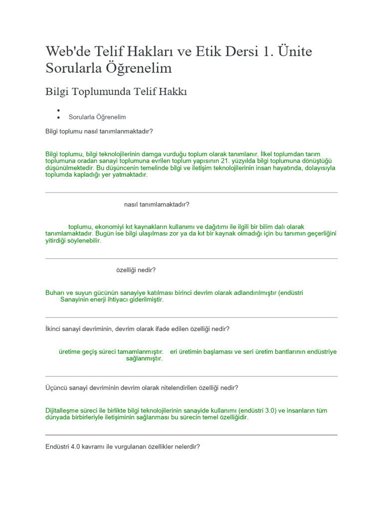 Anadolu Web'de Telif Hakları Ve Etik Vize | PDF