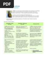 El Mamon en Venezuela | PDF | Alimentos | Plantas comestibles