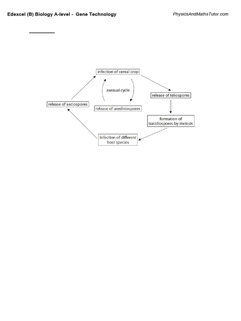 7.4 Gene Technology | PDF | Genetic Engineering | Zika Fever