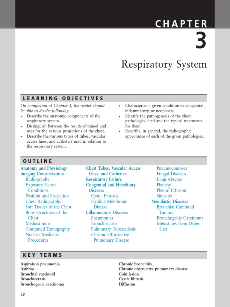 Respiratory System Anatomy and Imaging | PDF | Vein | Thorax