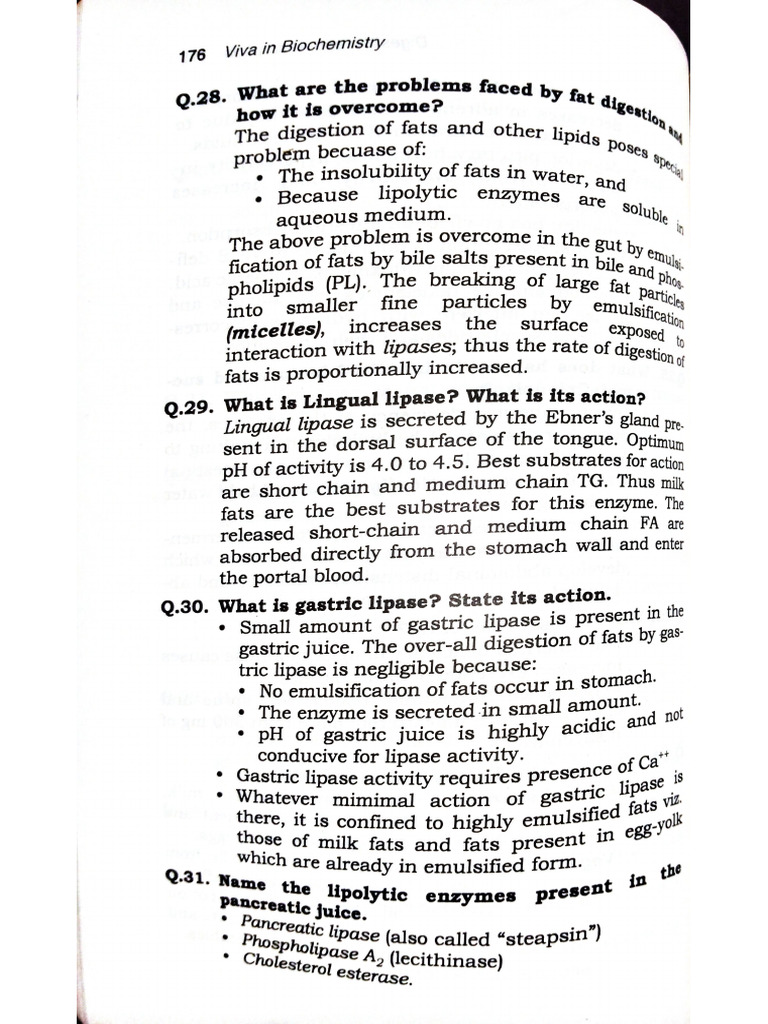 Nucleic Acid and Digestion of Lipids | PDF