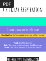 Unit 4 MCQ PDF | PDF | Cell Signaling | Signal Transduction