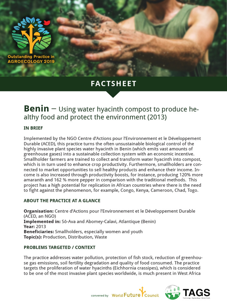 Benin - Using Water Hyacinth Compost To Produce Healthy Food and ...