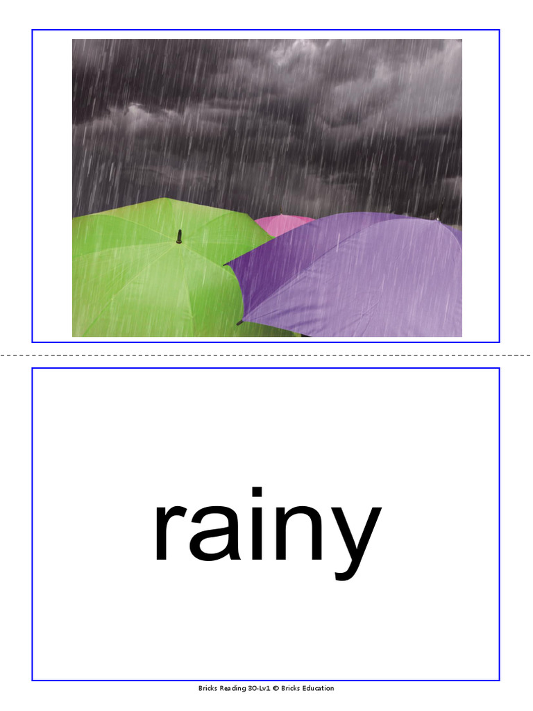 Bricks Reading 30 L1 Flashcard Unit 12 | PDF