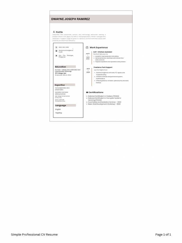 Simple Professional CV Resume | PDF