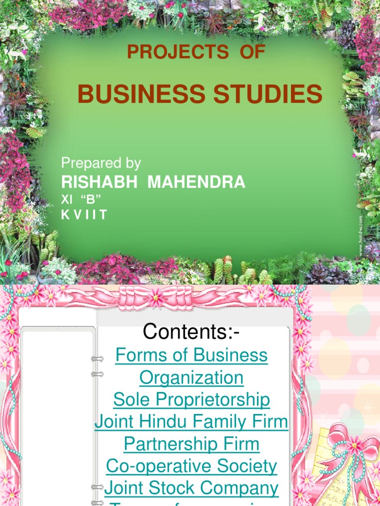 Business Studies Project | PDF | Partnership | Legal Personality