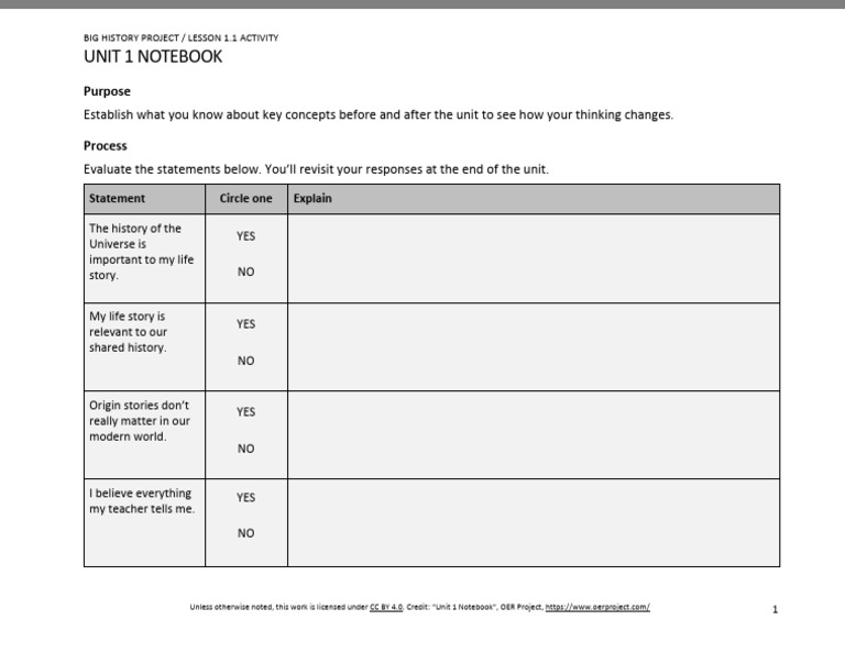 Big History Project: Unit 1 Activity | PDF
