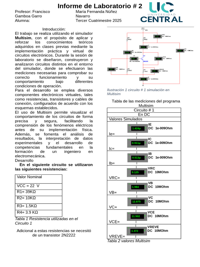 Plantilla IEE | PDF | Red eléctrica | Electrónica