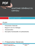 Rôle et anatomie du centre ovale cérébral | PDF | Cerveau | Cortex cérébral
