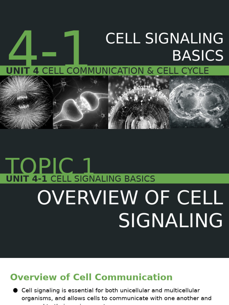 AP U4 L1 - Cell Signaling Basics | PDF | Cell Signaling | Signal ...