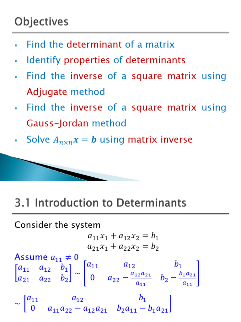Matrix Determinants and Inverses Guide | PDF | Determinant | Matrix ...