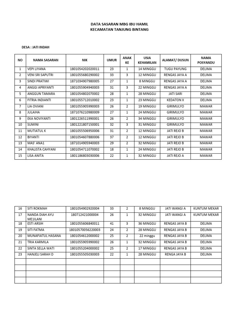 Data Mbg Ibu Hamil[1] | PDF
