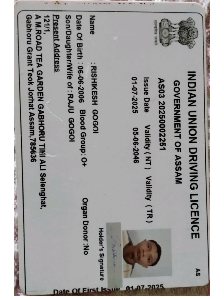 Licence | PDF