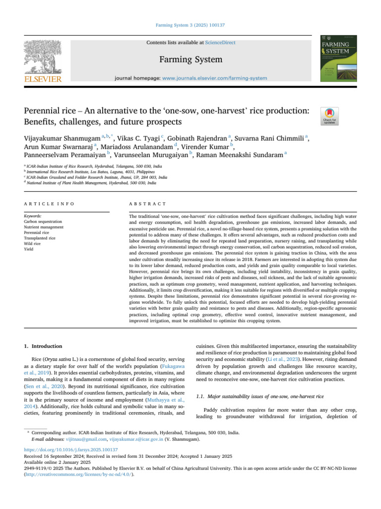 PR Rice - 1-s2.0-S2949911925000012-main | PDF | Agriculture | Rice