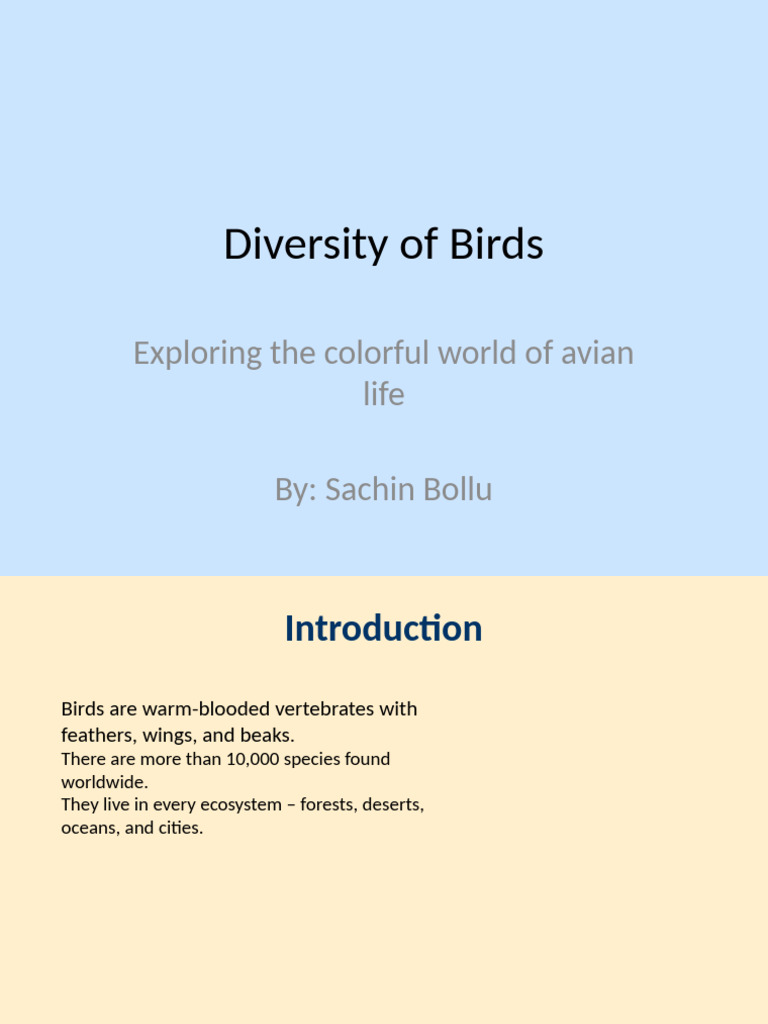 Avian Diversity and Conservation Insights | PDF